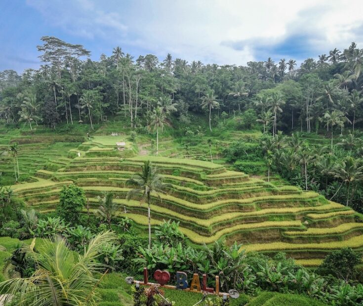 Bali Has Three Phase Plan To Reopen Borders For Tourism By August - The ...