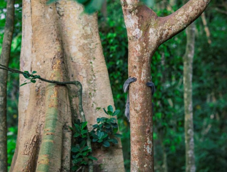 A Man In Bali Has Died While Cleaning A Sewer - The Bali Sun