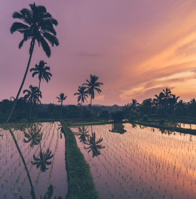 Emergency Sirens Across Bali Will Be Activated For The Natural Disaster ...
