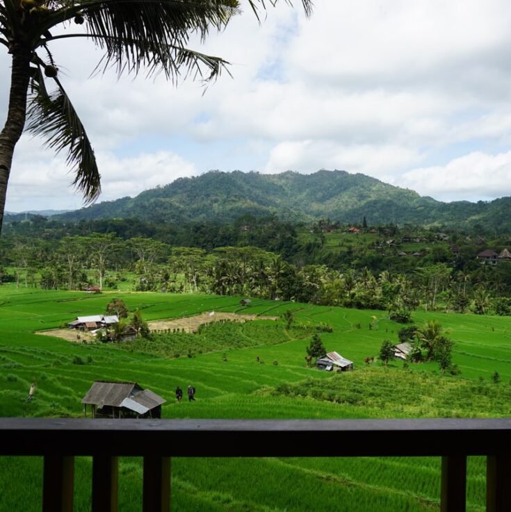 Rural Communities In Bali Experiencing Months Of Serious Water Scarcity ...