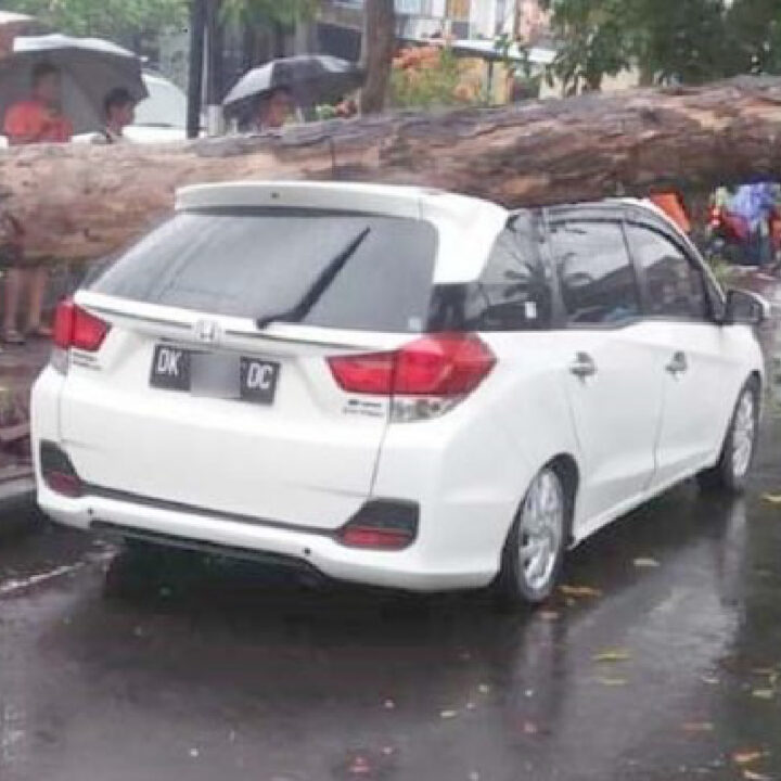 Falling Tree Crushes Car In Heavy Rain As Weather Warnings Issued In ...
