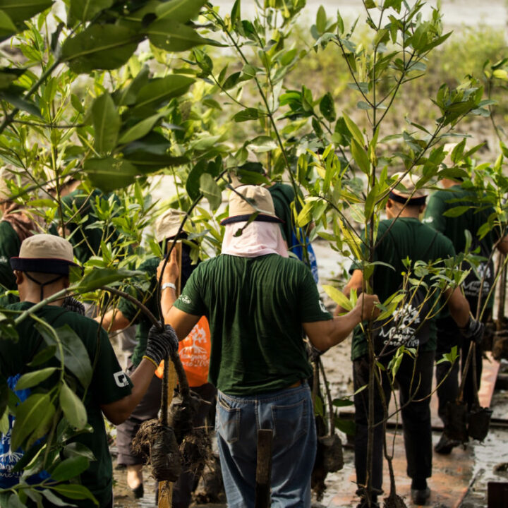 Bali Airport Gets A New 'VVIP' Terminal Ahead Of G20 Summit - The Bali Sun
