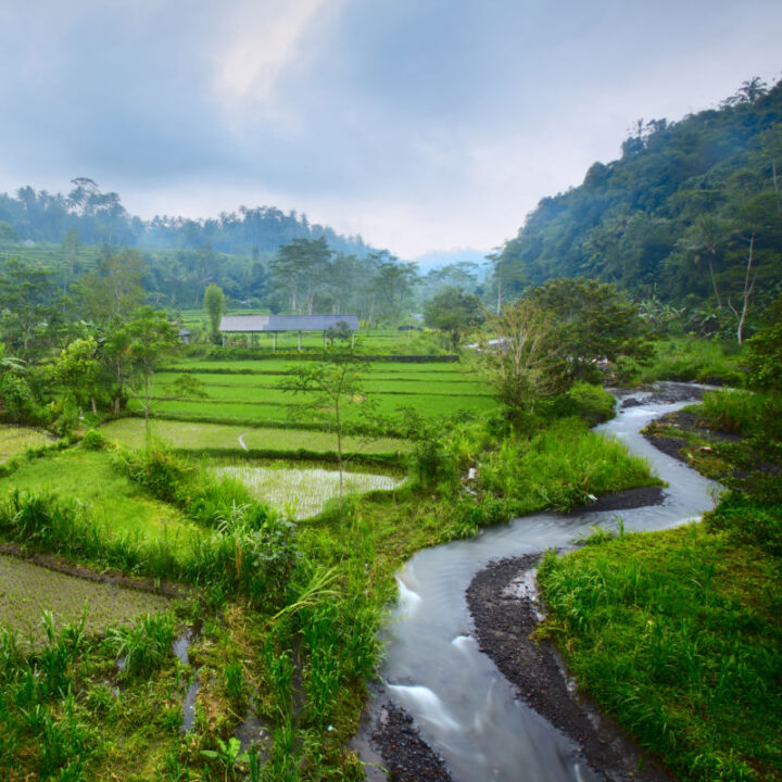 Bali Increases Conservation Efforts To Tackle Water Scarcity Across ...