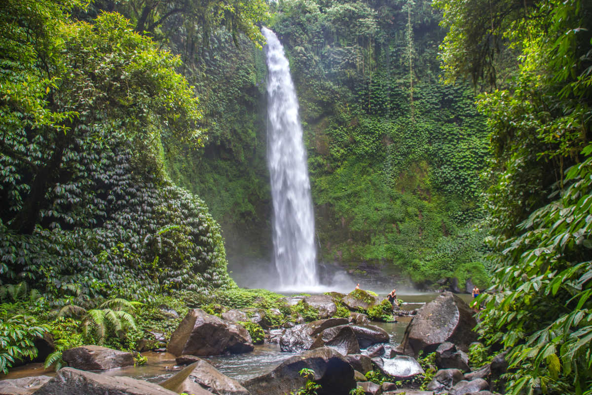 Community Creates Village Tourism Program For Bali's Best Kept Secret ...