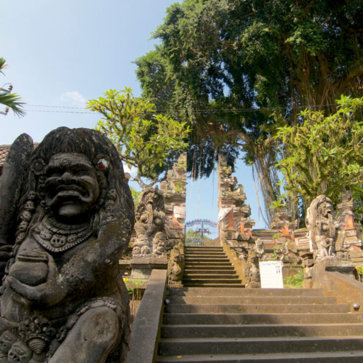 Australian Tourist Who Climbed Sacred Tree In Bali Apologizes Before ...