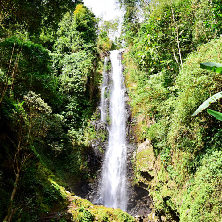 American Tourist Rushed To Hospital After Falling From Bali Waterfall ...
