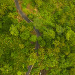 Love Adventure? Bali Just Welcomed The Biggest High Ropes Course In ...