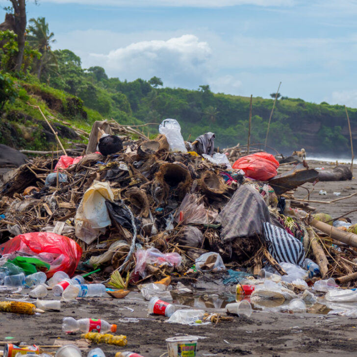 Bali Announces New Partnership To Tackle Waste Management Issues - The ...