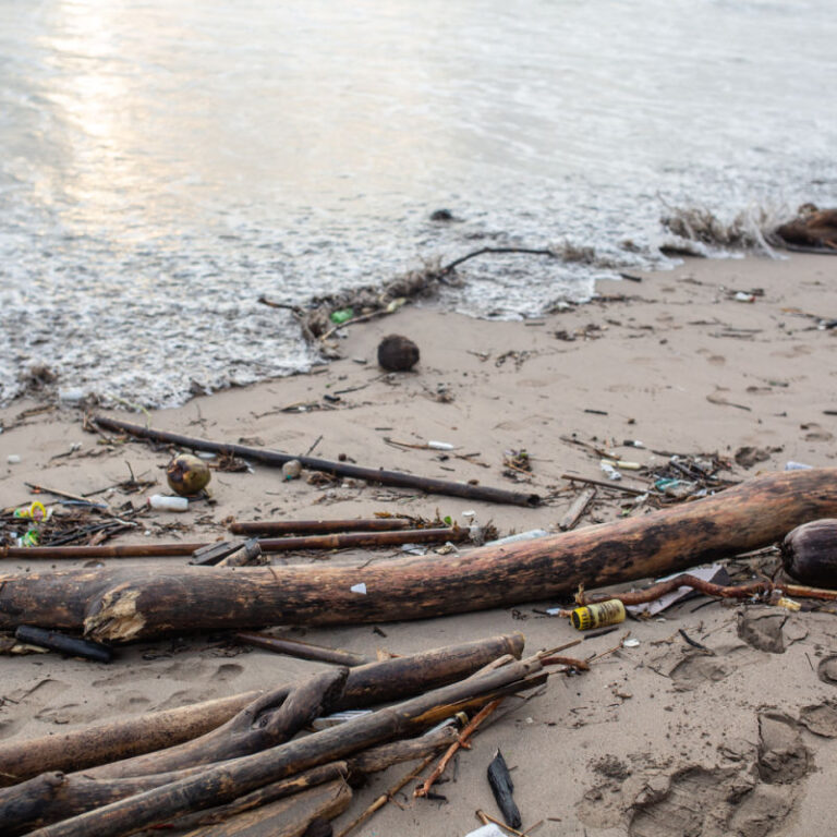 Tidal Trash Washing Up On Bali's Kedonganan Beach Concerns Restaurant ...