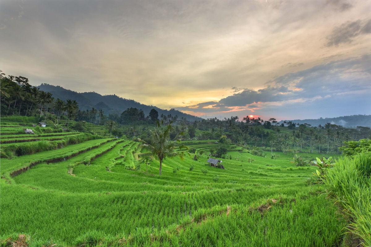 Bali s Sidemen Village Offers Tourists A Taste Of Traditional Island Bali s Sidemen Village Offers Tourists A Taste Of Traditional Island