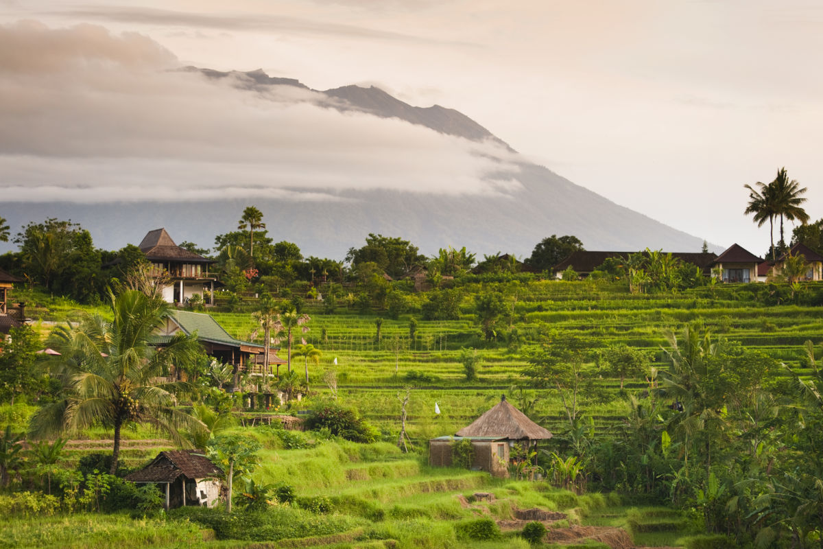This Village In East Bali Is Becoming The Island's Most Popular Day ...