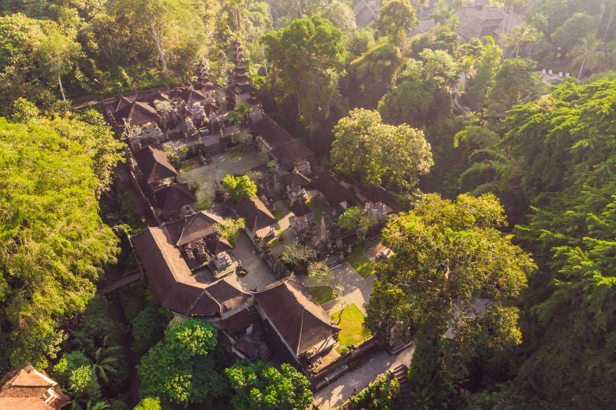 Want To Dine Looking Out Over Ubud's Most Iconic View? Here's Where To ...