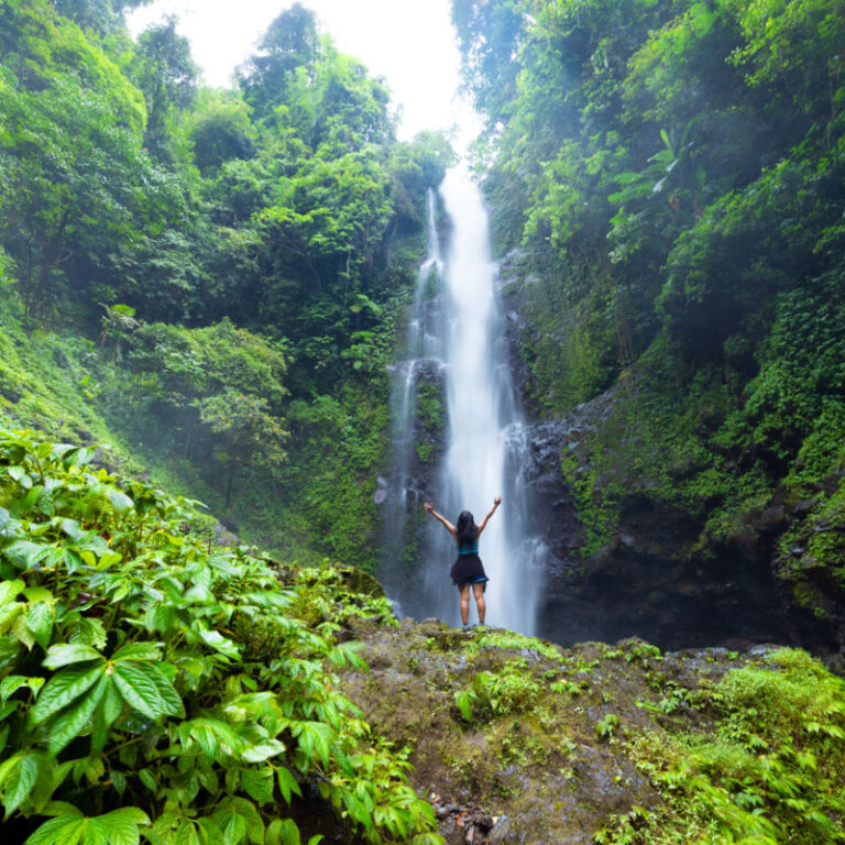 Incredible Waterfall In North Bali Will Be The Next Must-Visit Natural ...