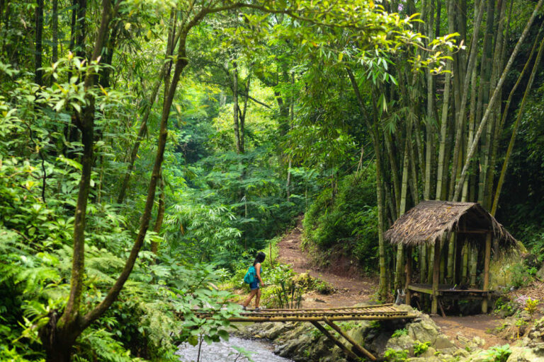 Taro Village Is Putting Itself On The Map As Top Bali Tourist ...