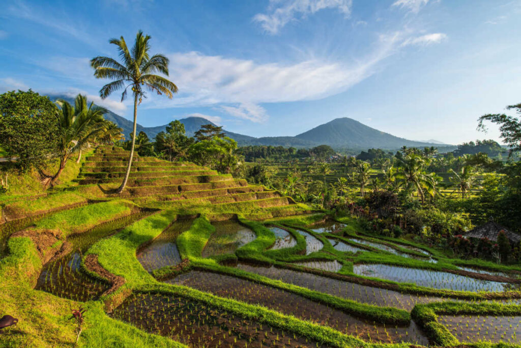Tourist Ticket Prices Set To Increase At This Famous Bali Landmark ...