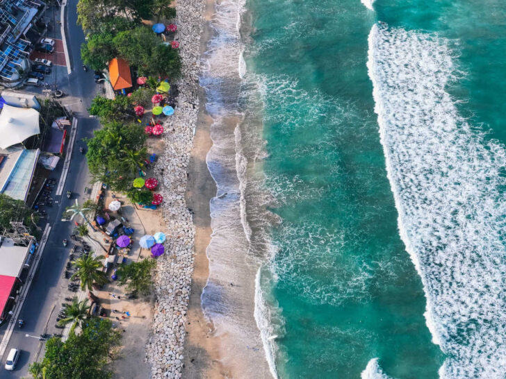 Bali’s Recent Rabies Deaths Mean Tourists Must Take Extra Precautions ...