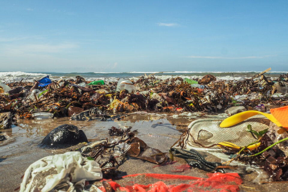 Chinese Environmental Company Commits $225 Million To Solving Bali’s ...