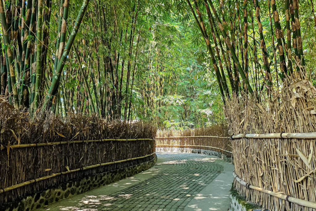 Magical Bamboo Forest In Bali Invites International Tourists To ...