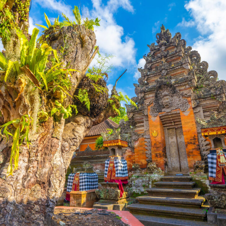 Bali Commits Funds To Restoring Famous Ubud Tourist Market - The Bali Sun