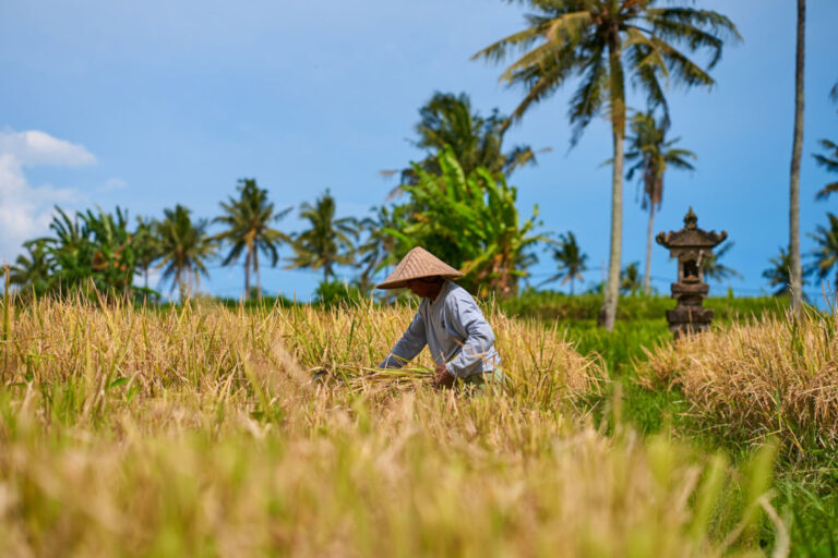 Bali’s Sayan Village Is Ideal For Tourists Seeking A Crowd-Free ...