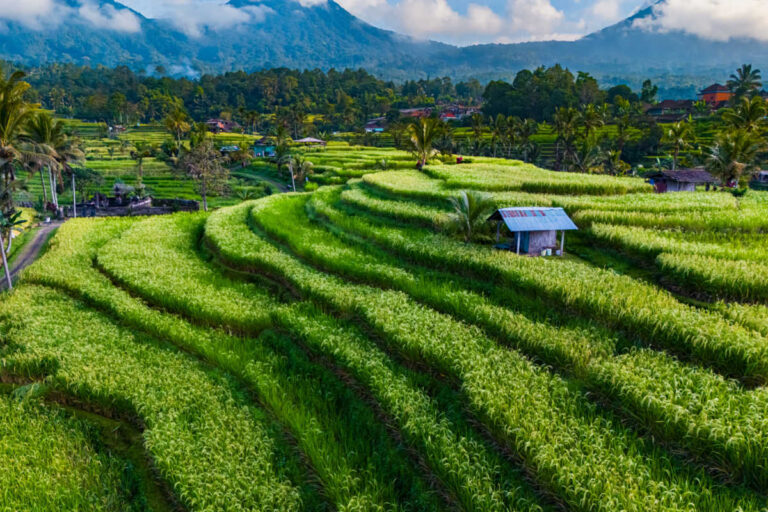 Bali’s Tabanan Regency Is The Destination To Explore In 2026 - The Bali Sun