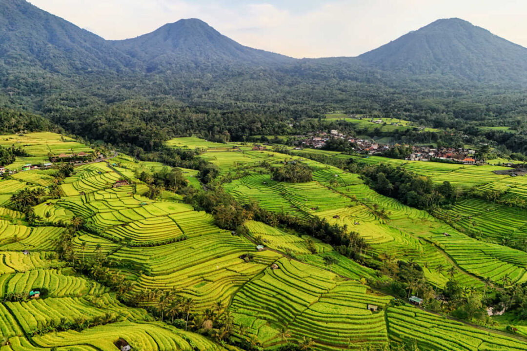 Bali Urged To Protect Green Landscapes As Tourism Development Threatens ...
