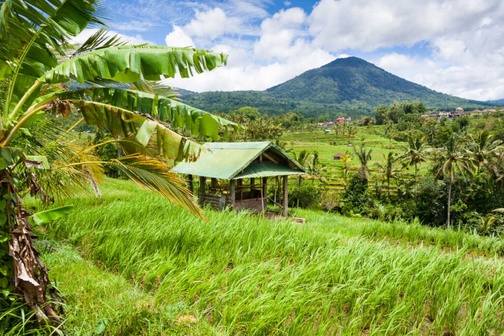 Tourists Must Obey Strict Rules If Hiking Bali’s Volcano Peaks - The ...