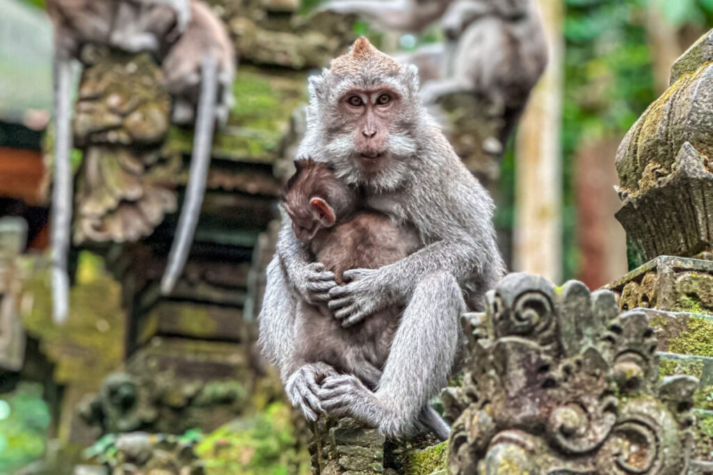 One Killed And Major Damage Recorded At Top Bali Tourist Attraction ...