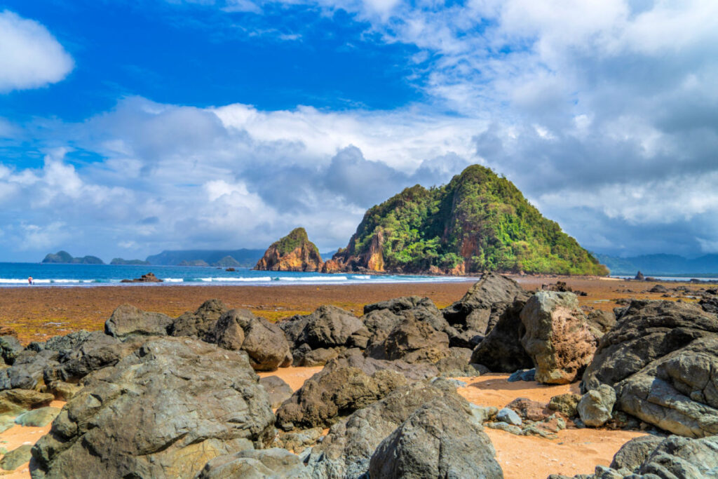New Bali - East Java Fast Boat Service Makes Inter-Island Travel Even ...