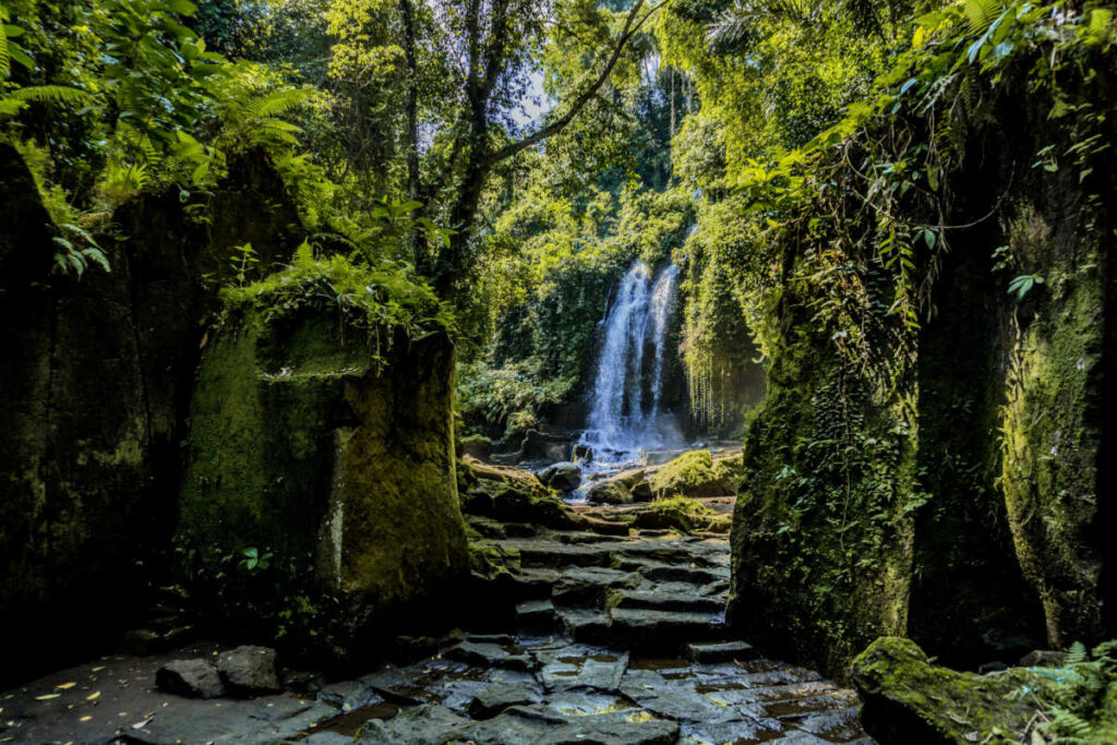 Secret Bali Waterfall Is A Must Visit For Tourists Curious About Bali’s ...